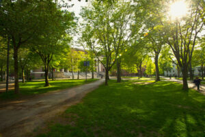 Harvard Extension School | Earn a Degree or Professional Certificate